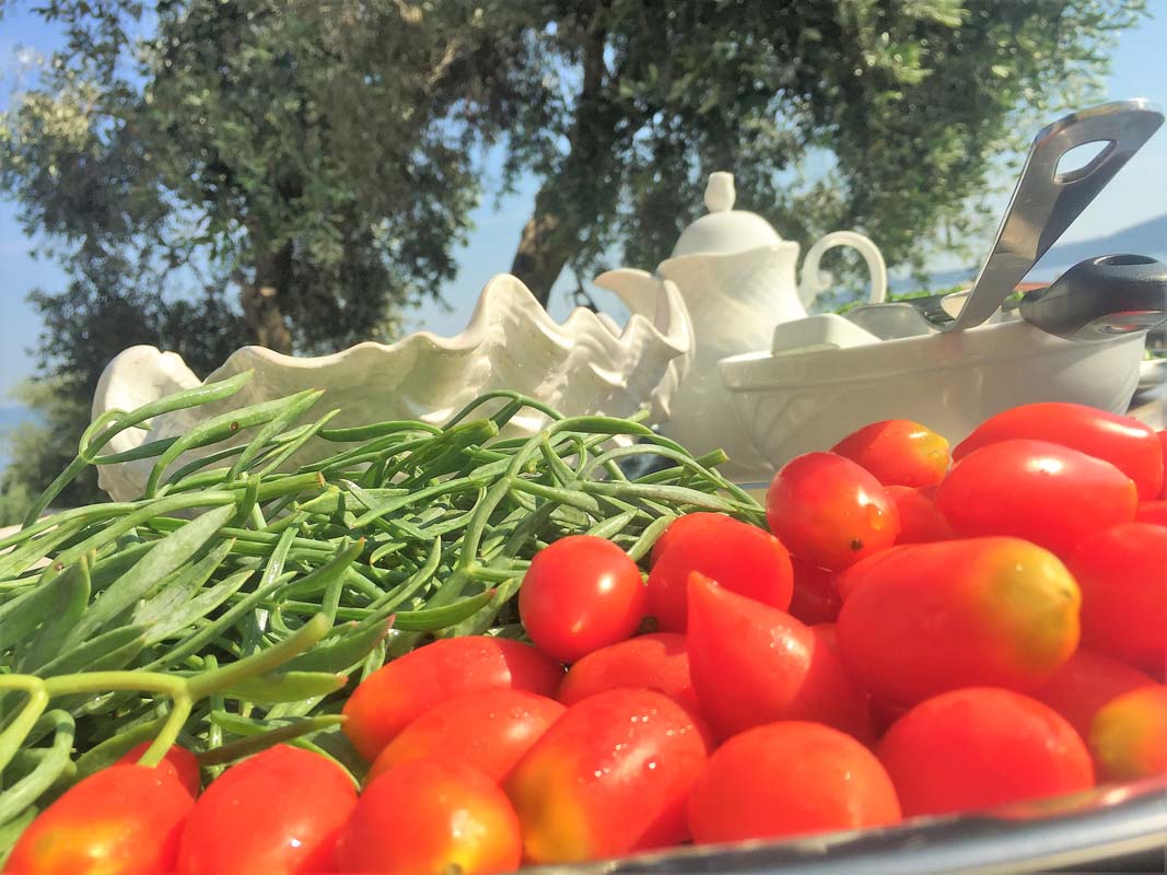 ΓΕΥΣΤΙΚΑ ΤΑΞΙΔΙΑ ΜΕ ΤΟ “ΚΟΥΖΙΝΑ 2018” | Χαλκιδική Περιβάλλον
